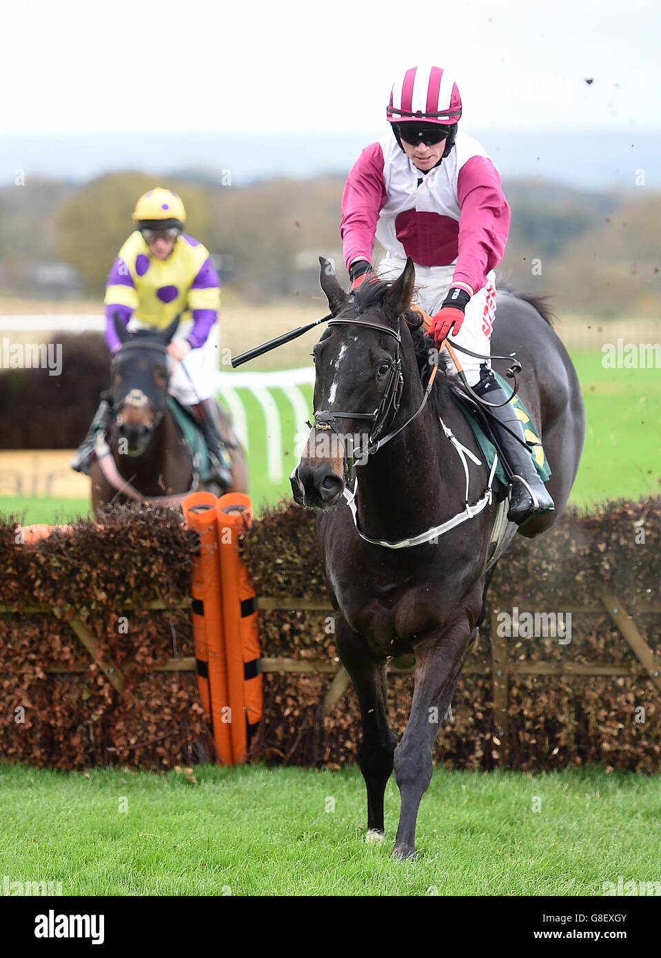 Horse Racing - Bangor-On-Dee Racecourse Stock Photo - Alamy