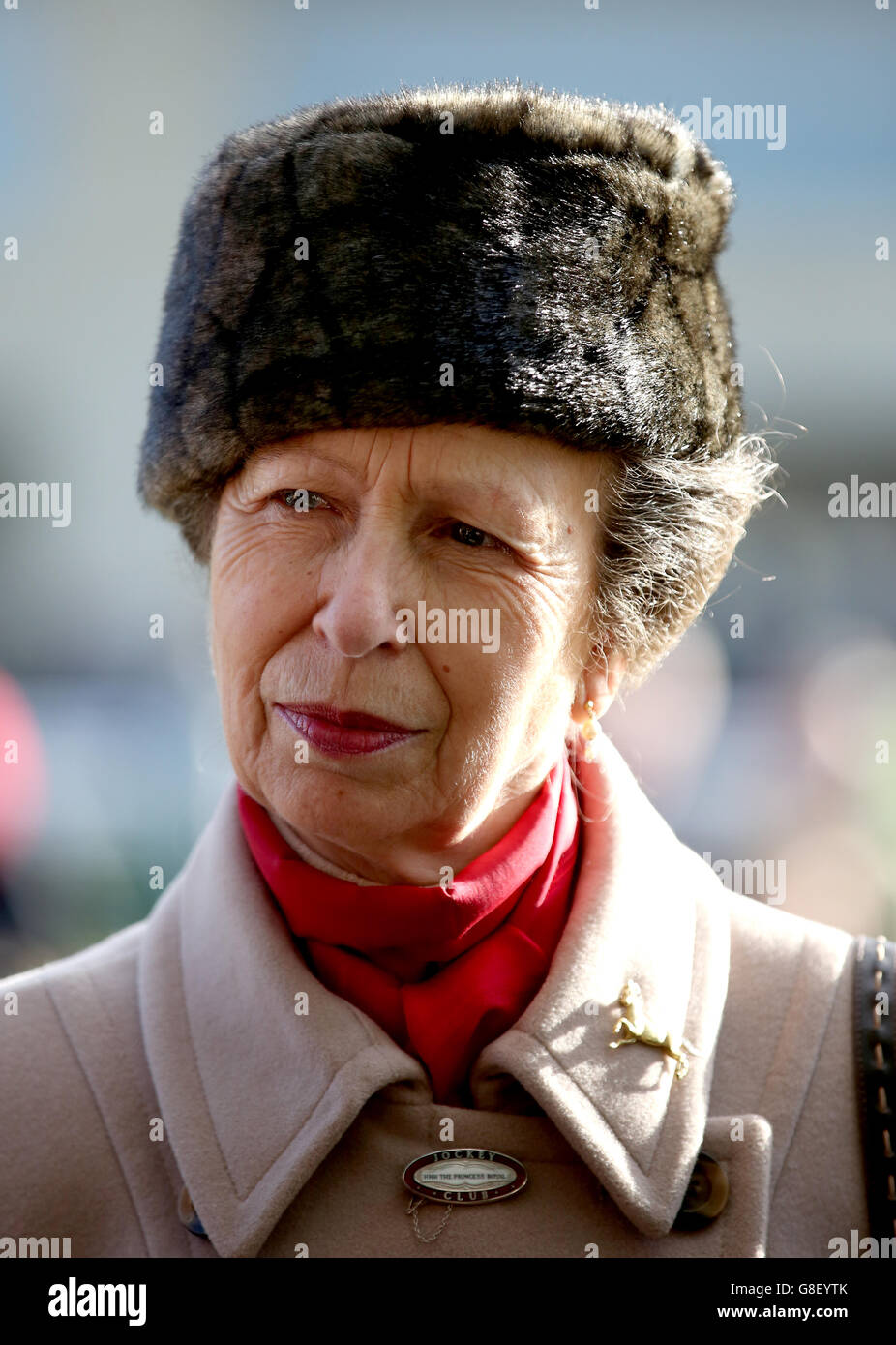 Princess anne day one open cheltenham racecourse hi-res stock ...