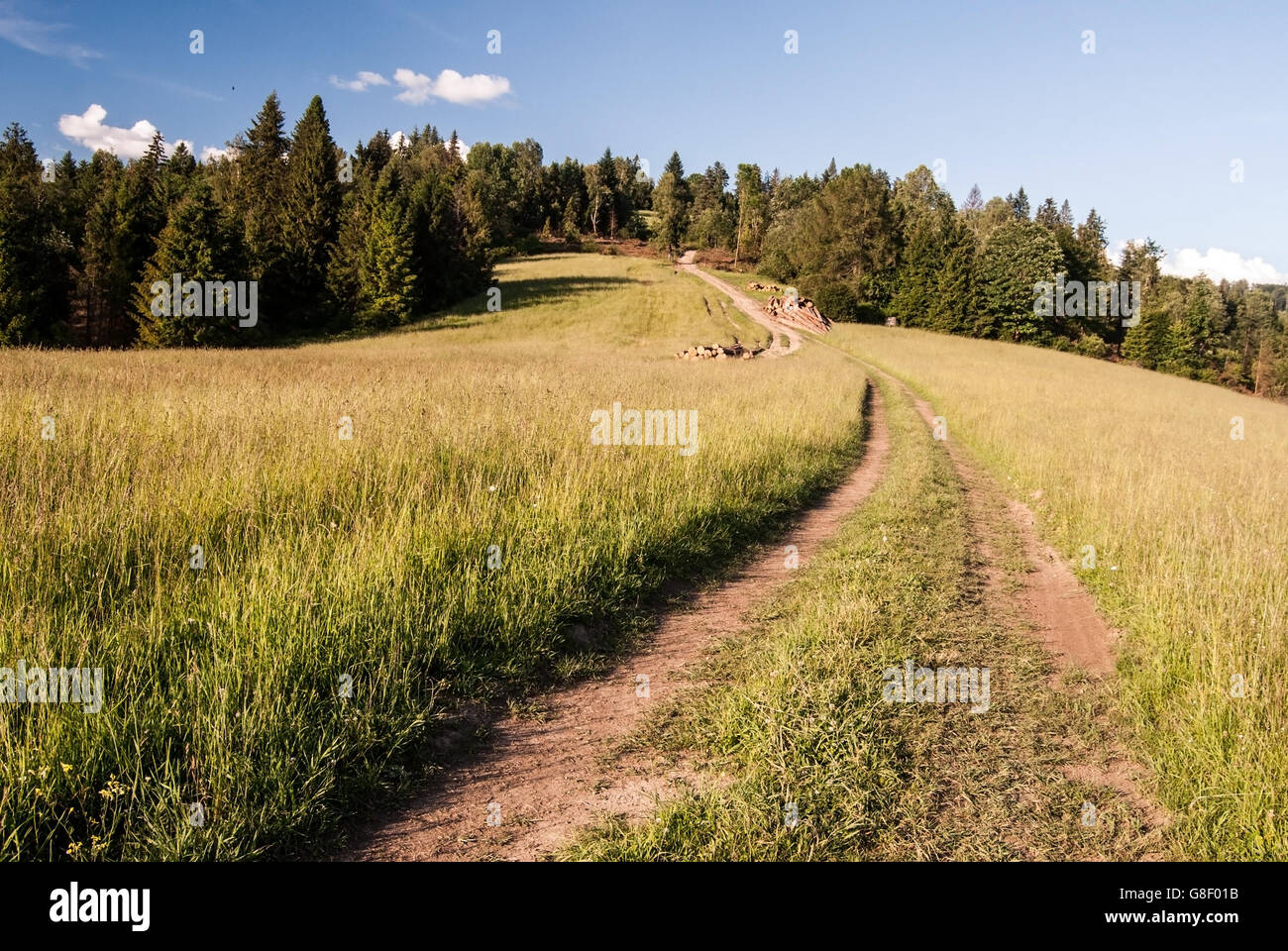 meadow with pathway, forest on the background and blue sky with few ...