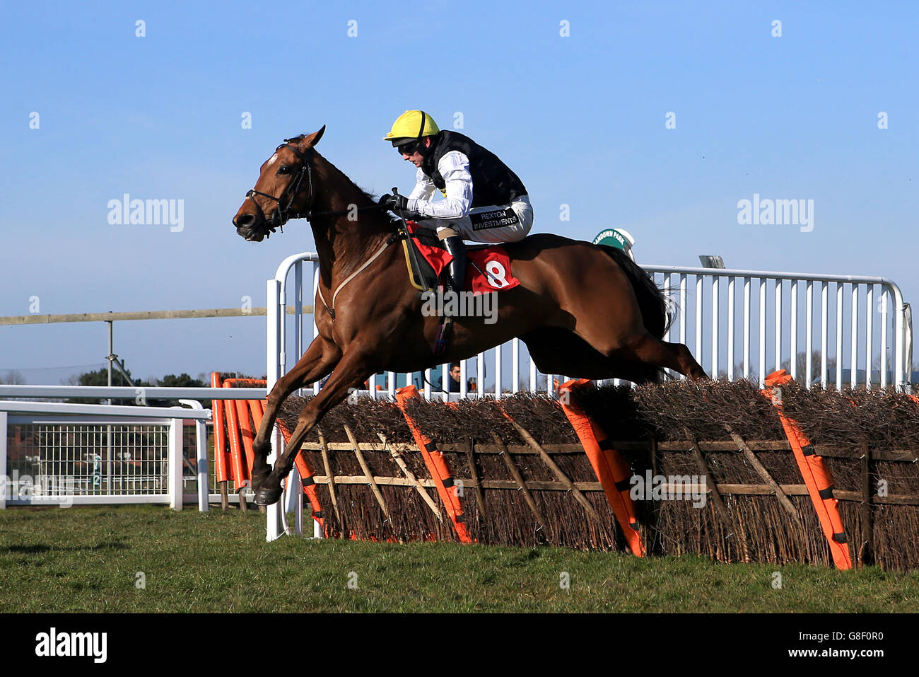 Horse racing grand military gold cup day sandown park racecourse hi-res ...