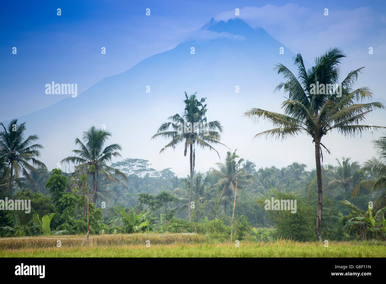 Mount Merapi aka Gunung Merapi volcano near Yogyakarta, Java, Indonesia ...