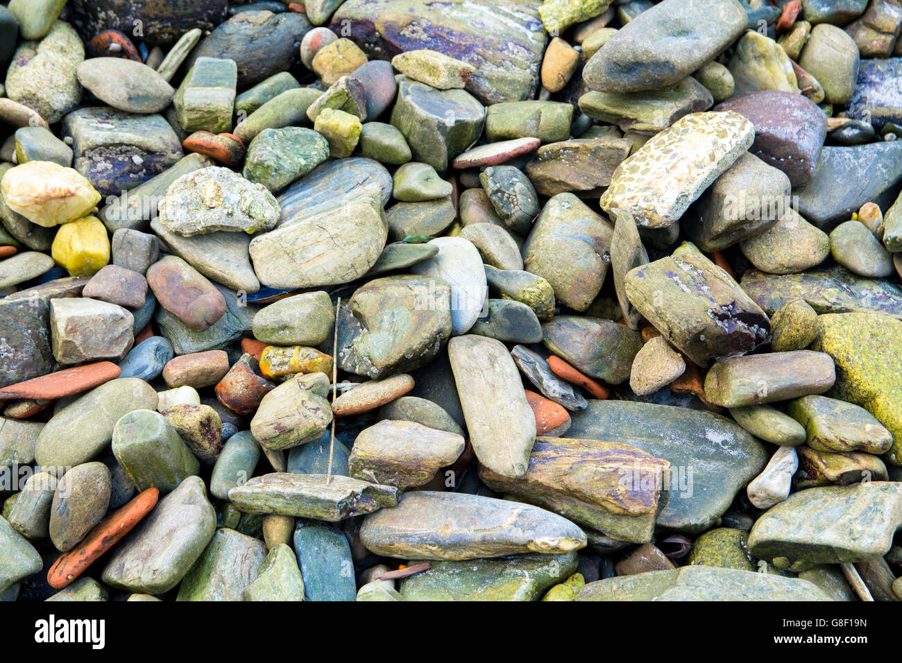 Different coloured pebbles hi-res stock photography and images - Alamy