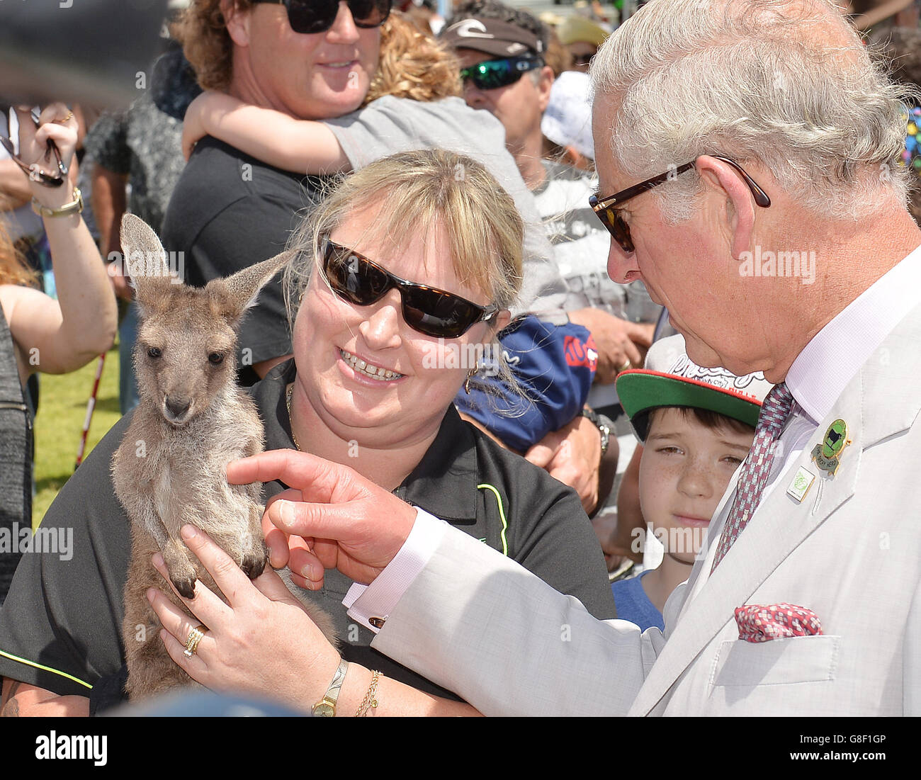 The Prince of Wales strokes a young Kangaroo, at the Agricultural show ...