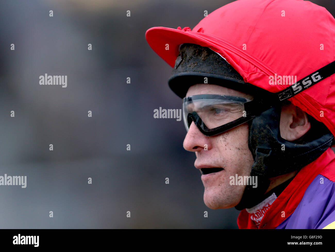 Jockey tom scudamore hi-res stock photography and images - Alamy
