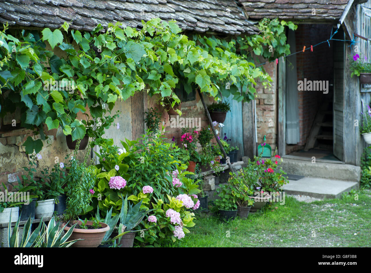 Traditional farmhouse, Lonjsko Polje nature park, Croatia Stock Photo ...