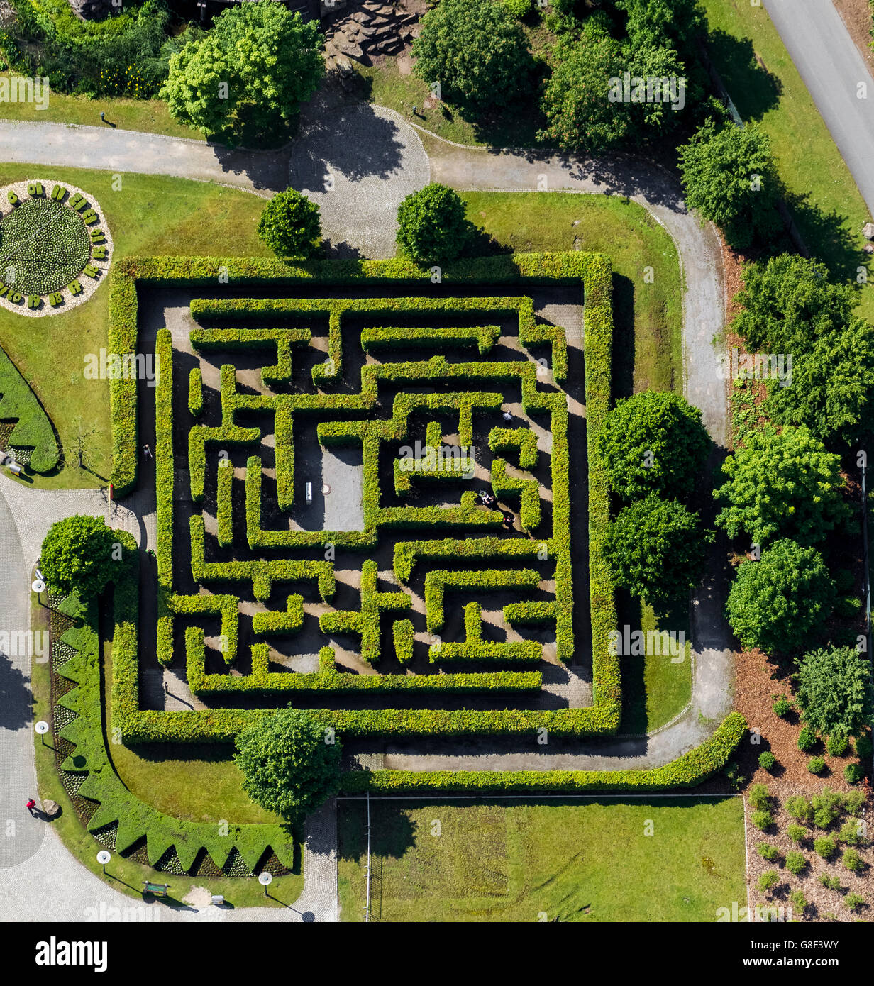 Simple Hedge Maze