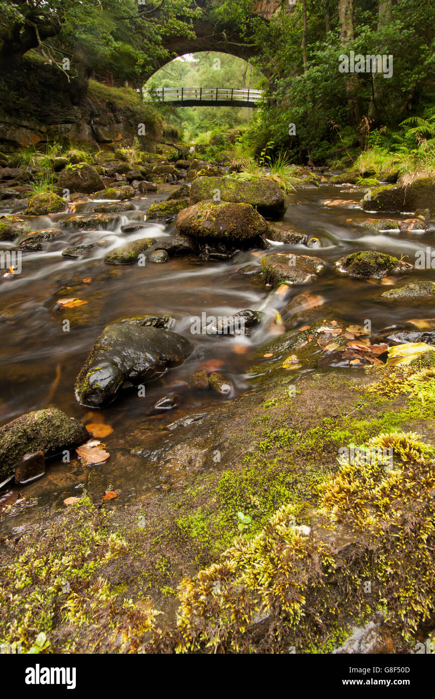 Bridges over Eller Beck, Goathland in the North Yorkshire Moors Stock ...