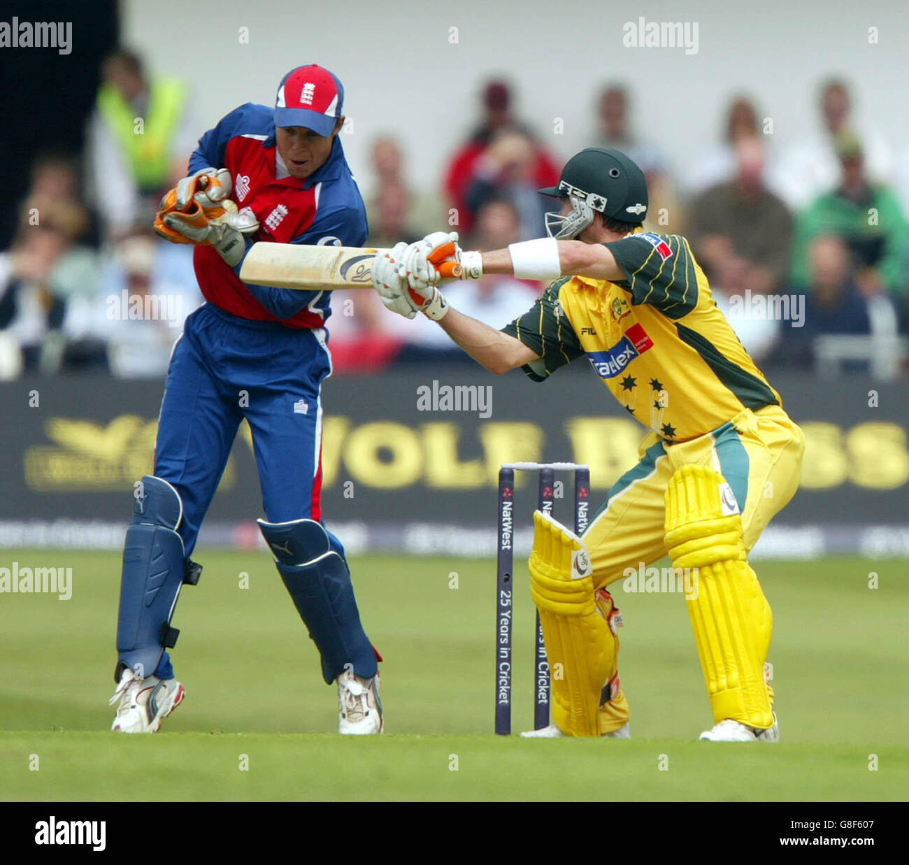 Englands geraint jones catches out australias damien martyn hi-res ...