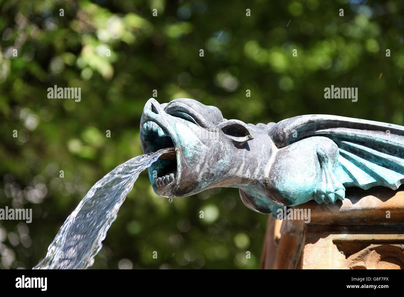 Gargoyle water spout hi-res stock photography and images - Alamy