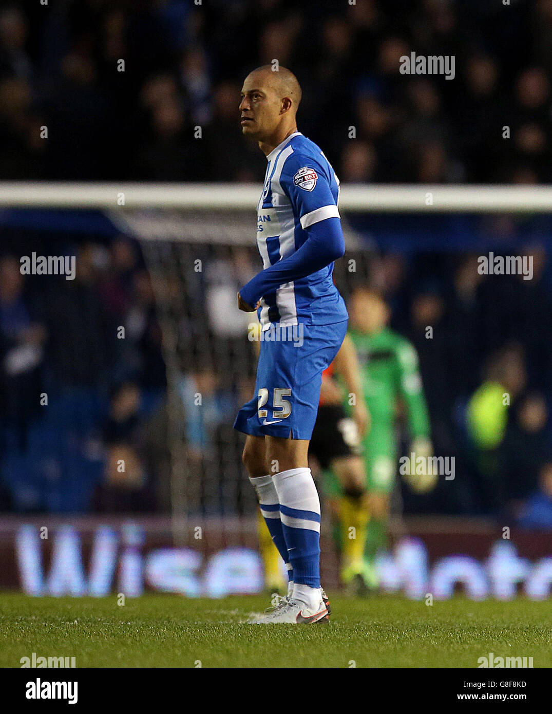 Brighton and hove albions bobby zamora hi-res stock photography and ...