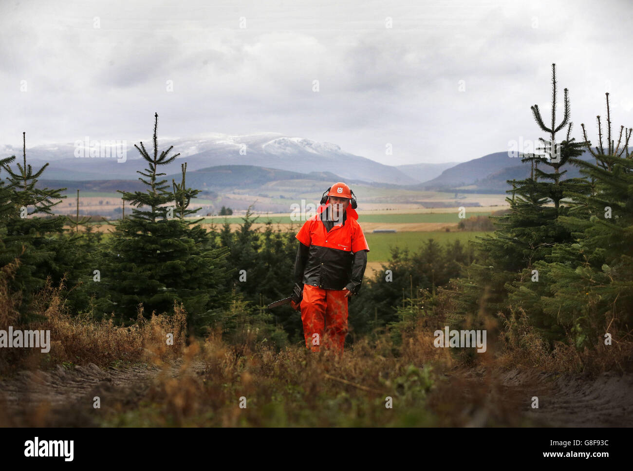 Waitroses hi-res stock photography and images - Alamy