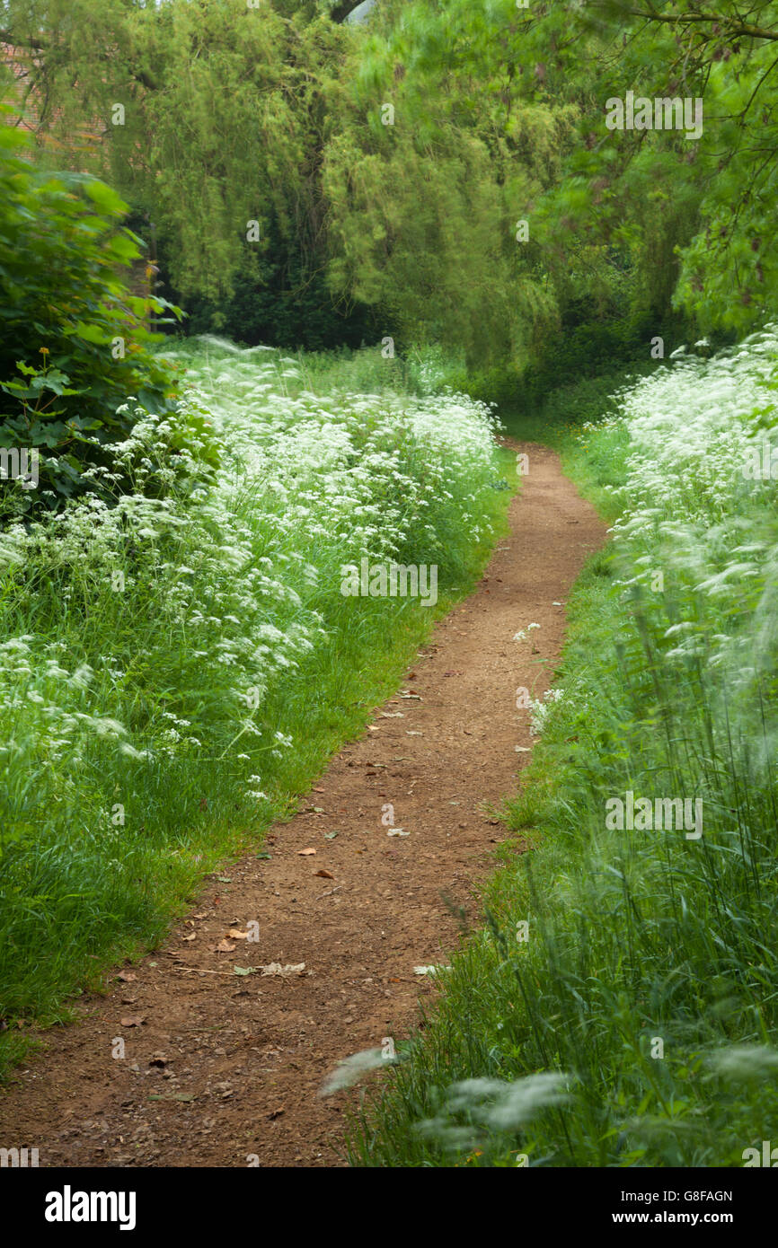 Soft path hi-res stock photography and images - Alamy