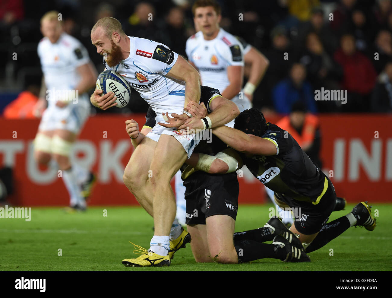 Ospreys left right jonathan spratt hi-res stock photography and images ...