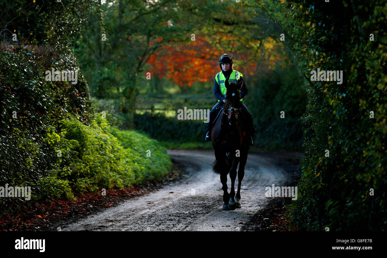 Media Invitation to Paul Nicholls' Stable - Manor Farm Stables. Tommy ...