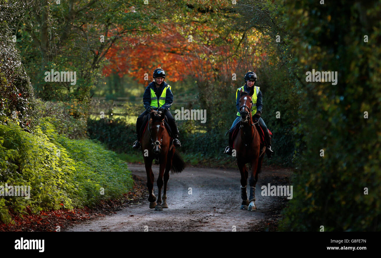 Horses from Paul Nicholls' yard exercise near Manor Farm Stables ...
