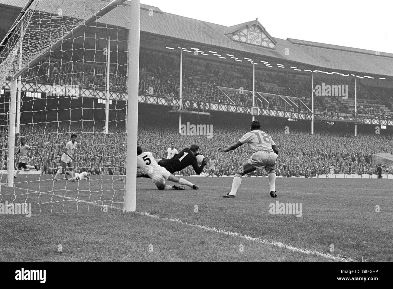 Brazil v bulgaria hi-res stock photography and images - Alamy
