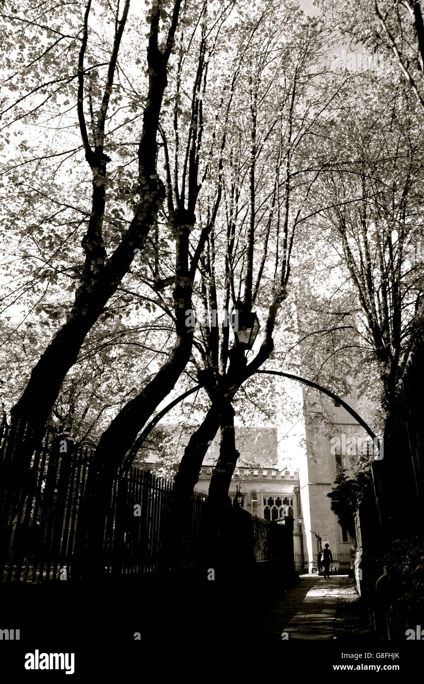 Little path in Bristol Stock Photo - Alamy