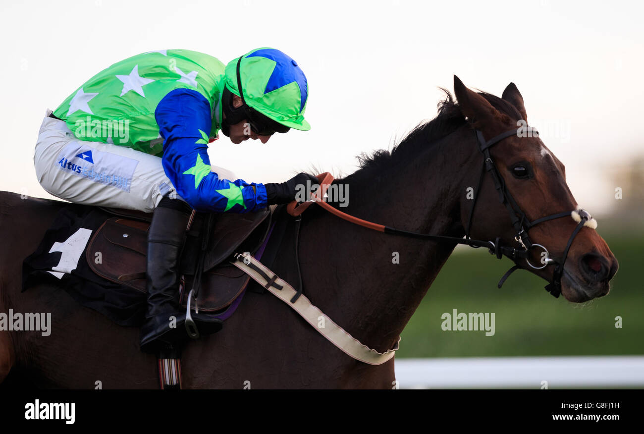Ascot Racecourse - November Racing Weekend Stock Photo - Alamy