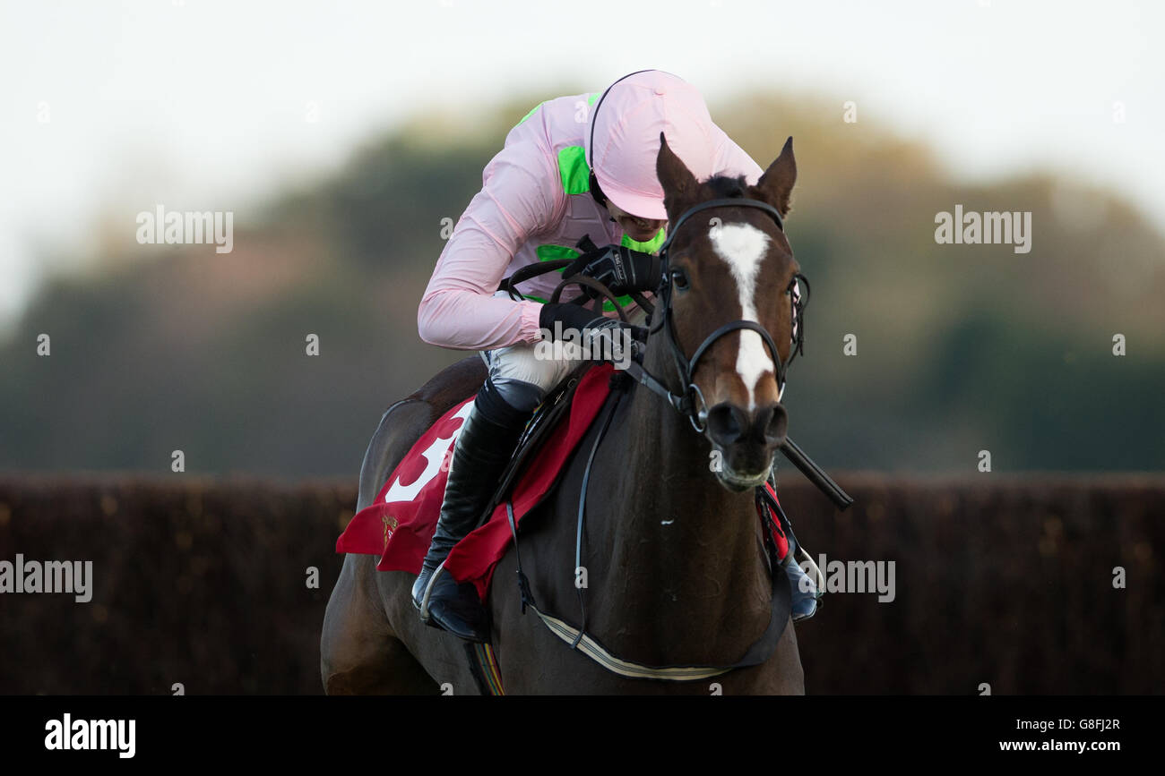 Ascot Racecourse - November Racing Weekend Stock Photo - Alamy