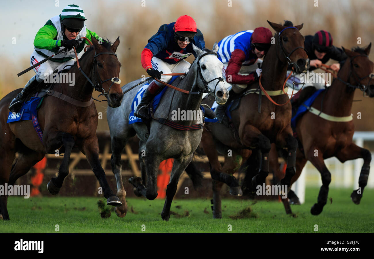 Ascot Racecourse - November Racing Weekend Stock Photo - Alamy