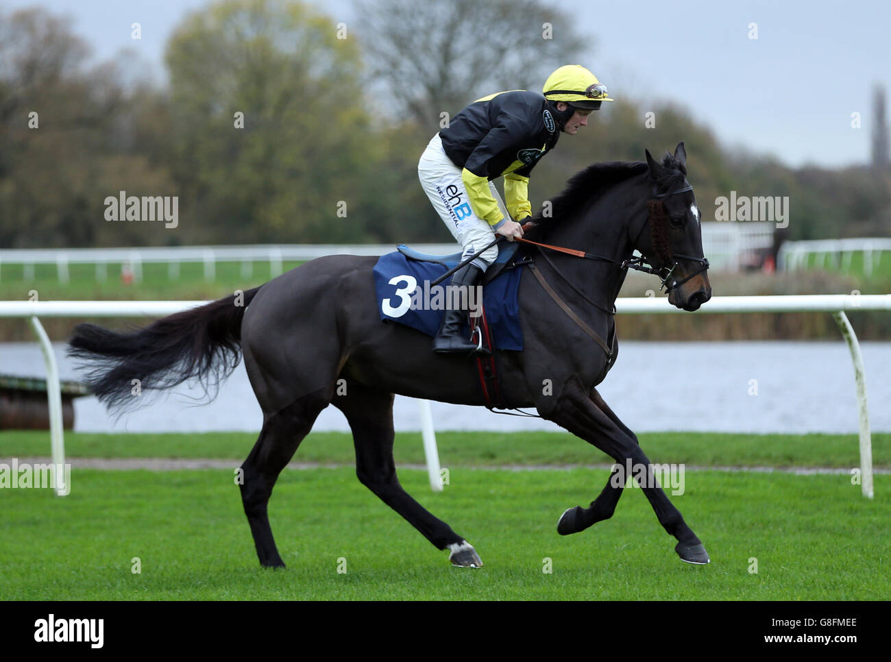 Horse Racing - Huntingdon Racecourse. Copperfacejack ridden by Charlie ...