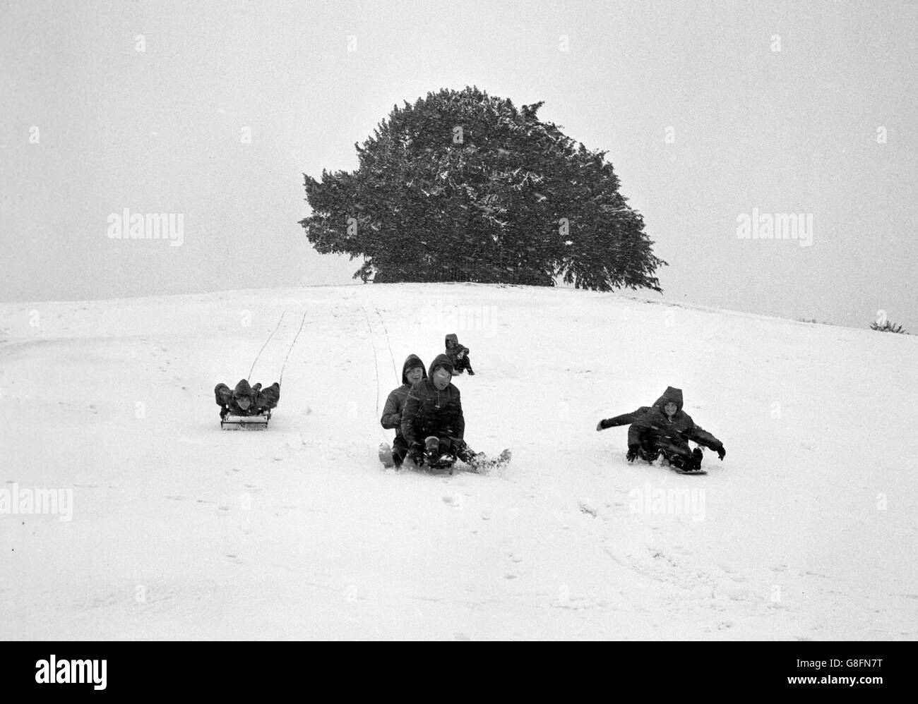 Hampshire spring Black and White Stock Photos & Images - Alamy