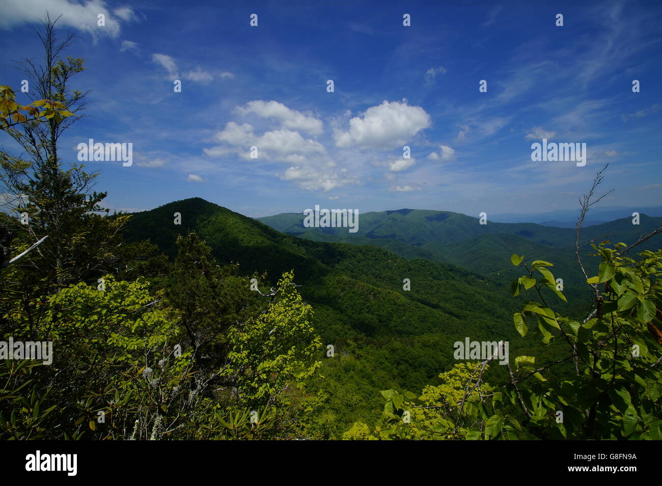 Appalachian trail summer hi-res stock photography and images - Alamy