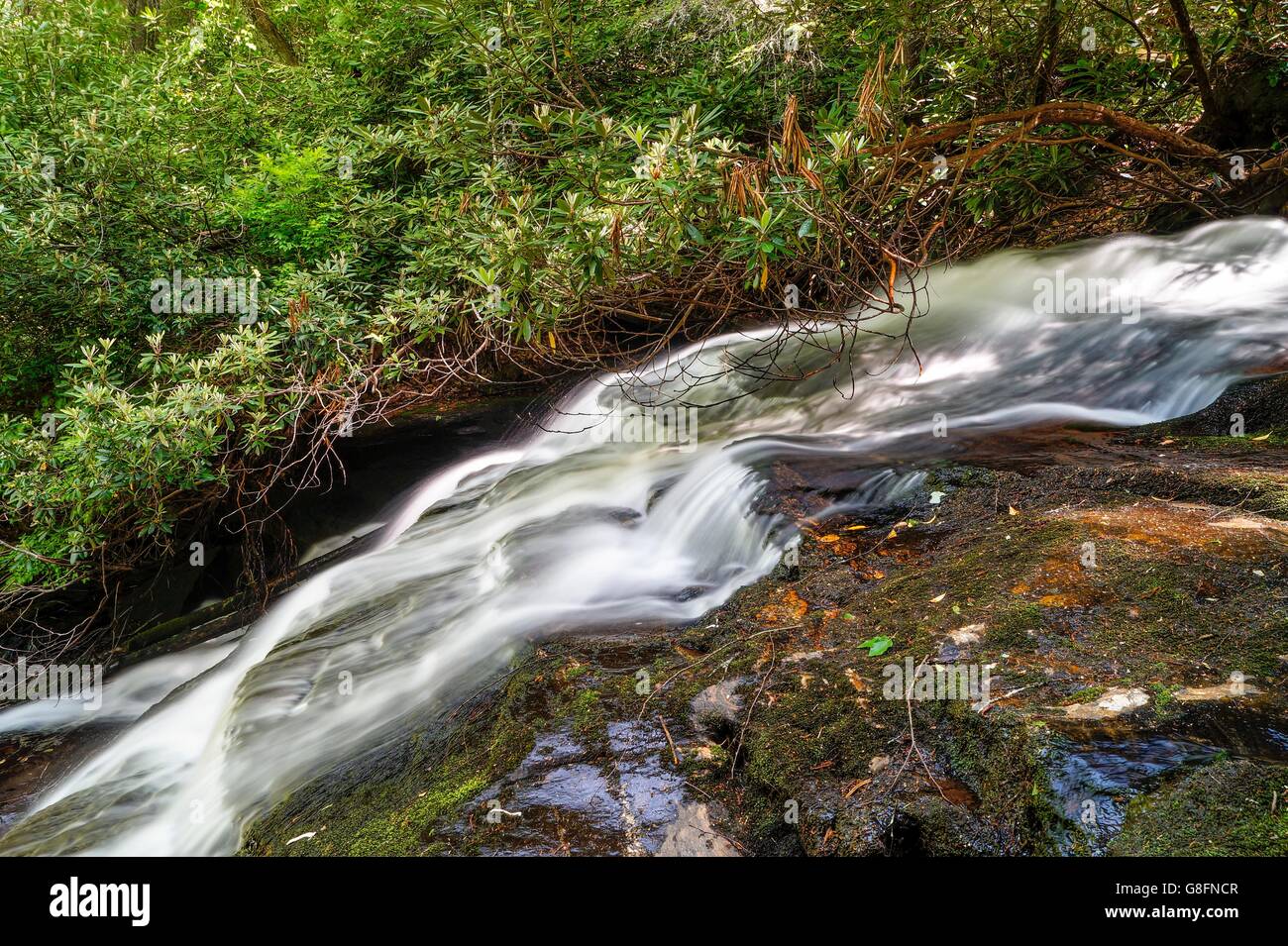 Appalachian trail summer hi-res stock photography and images - Alamy