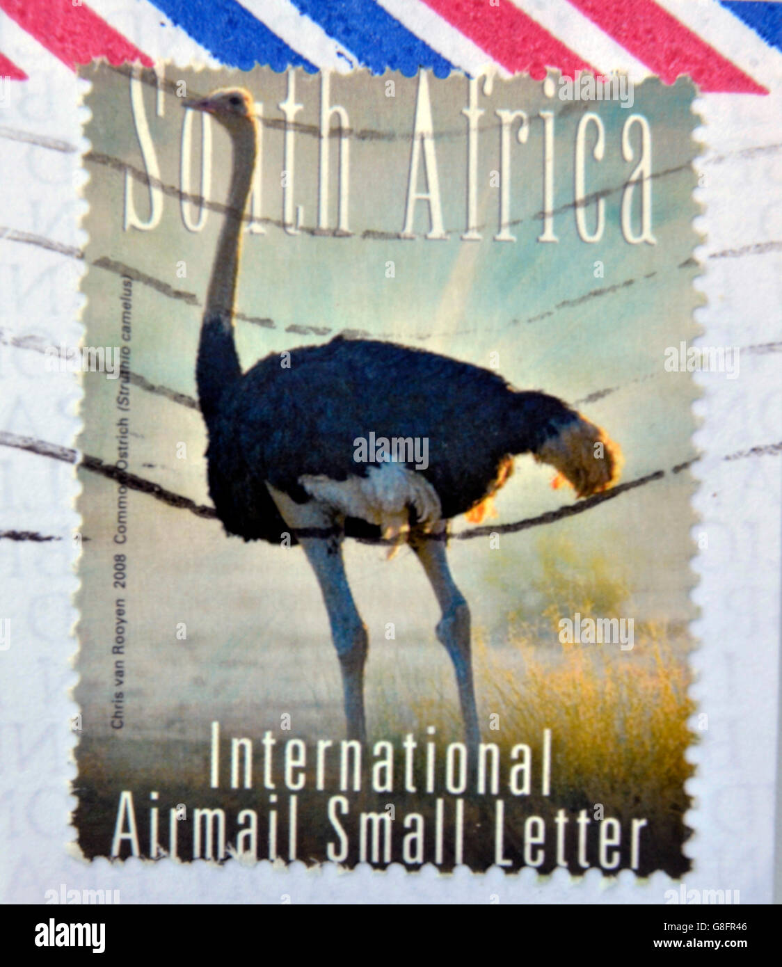SOUTH AFRICA - CIRCA 2000: A stamp printed in RSA shows an ostrich ...