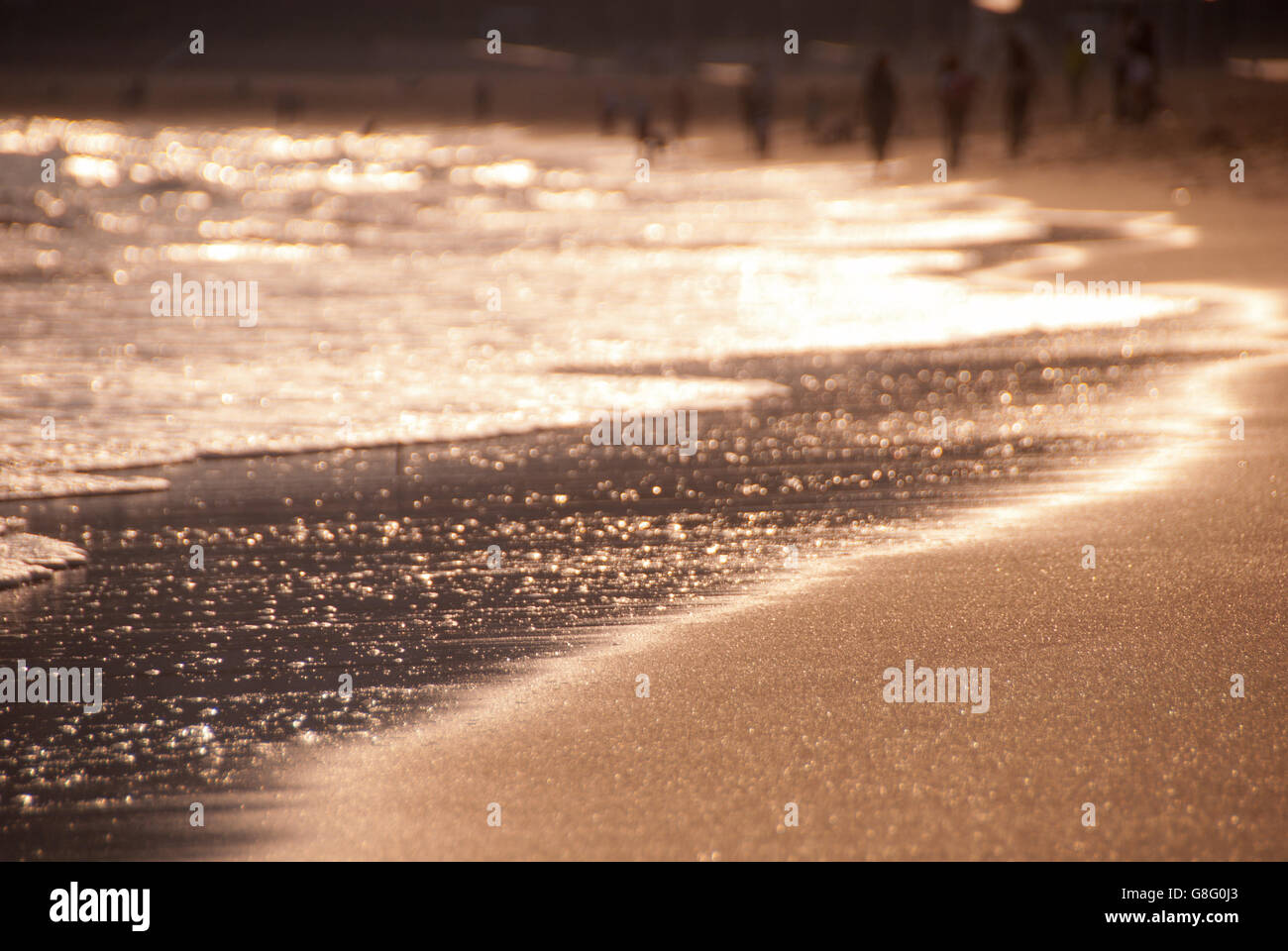 People on the beach at sunset Stock Photo - Alamy