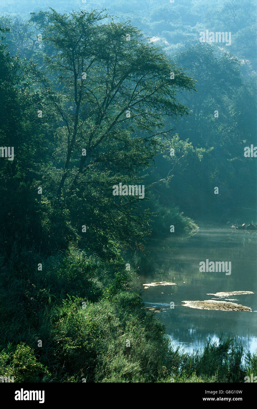 Makhutswi River, Lowveld, South Africa Stock Photo - Alamy
