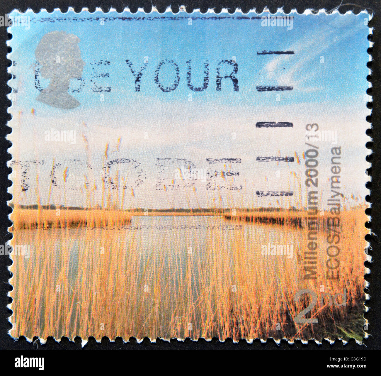 UNITED KINGDOM - CIRCA 2000: A stamp printed in Great Britain dedicated ...