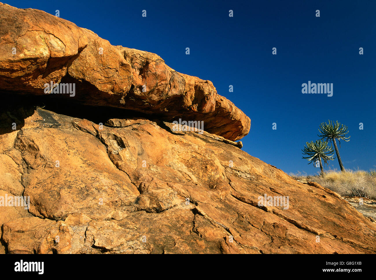 Boulders, Kingdom of Mapungubwe, Limpopo, South Africa Stock Photo - Alamy
