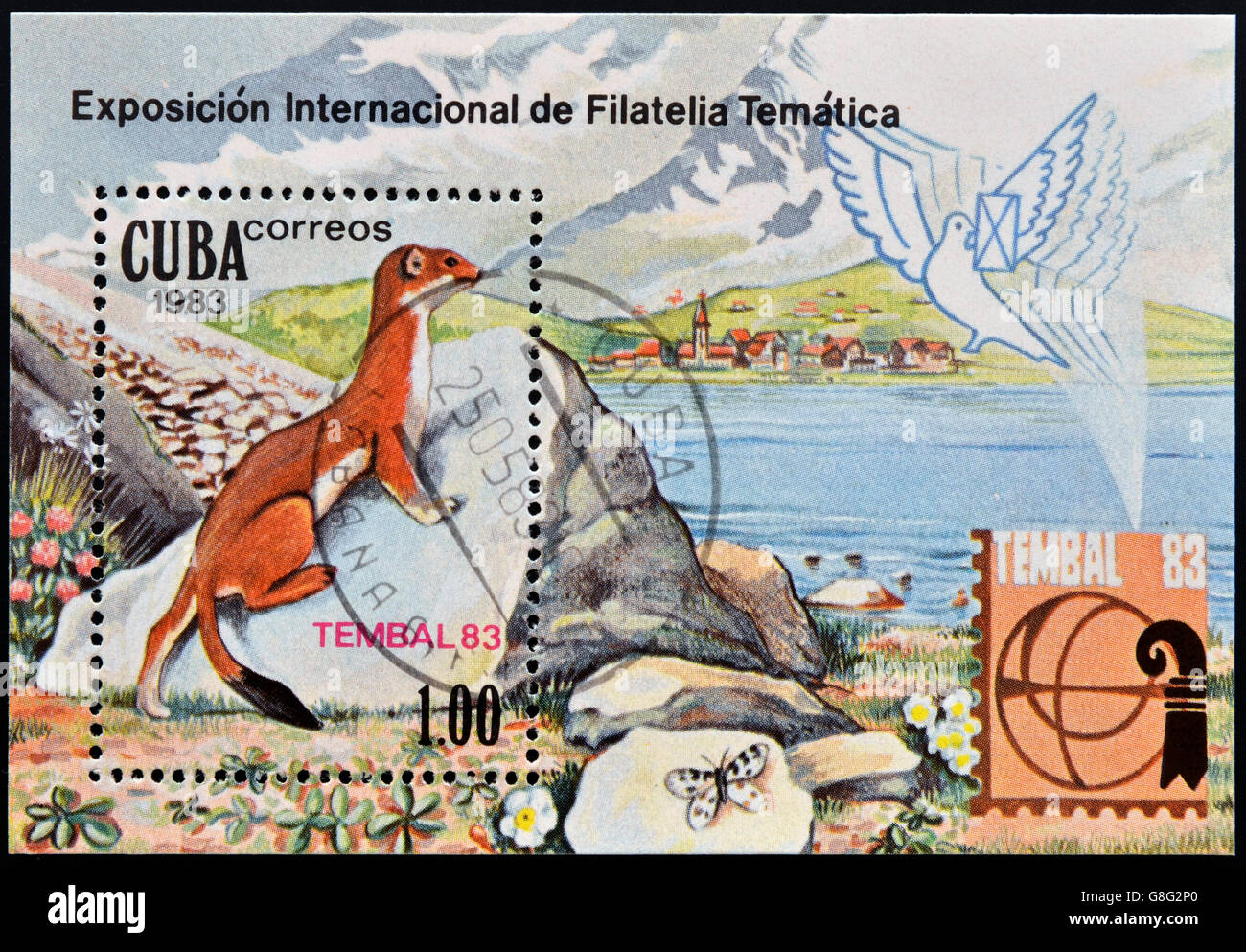 Tembal 83 hi-res stock photography and images - Alamy