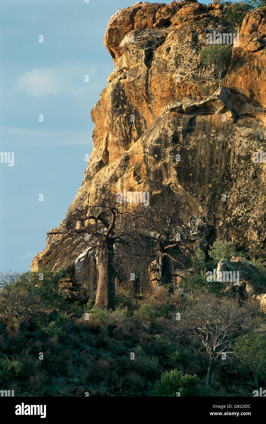 Mapungubwe hill hi-res stock photography and images - Alamy