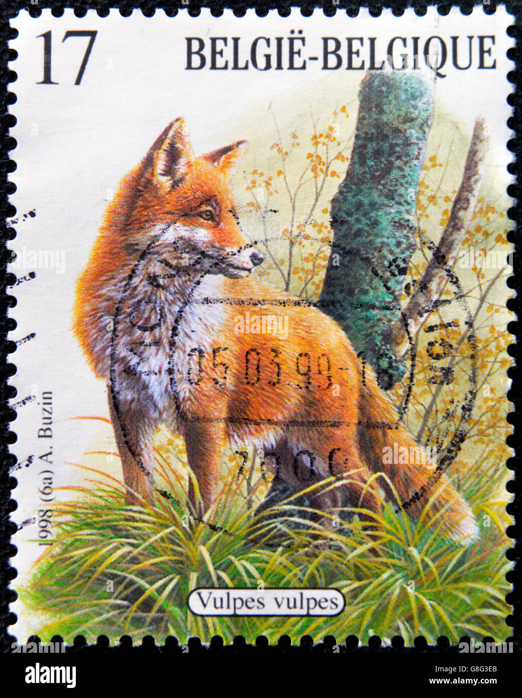 BELGIUM - CIRCA 1998: A stamp printed in Belgium shows fox (Vulpes ...
