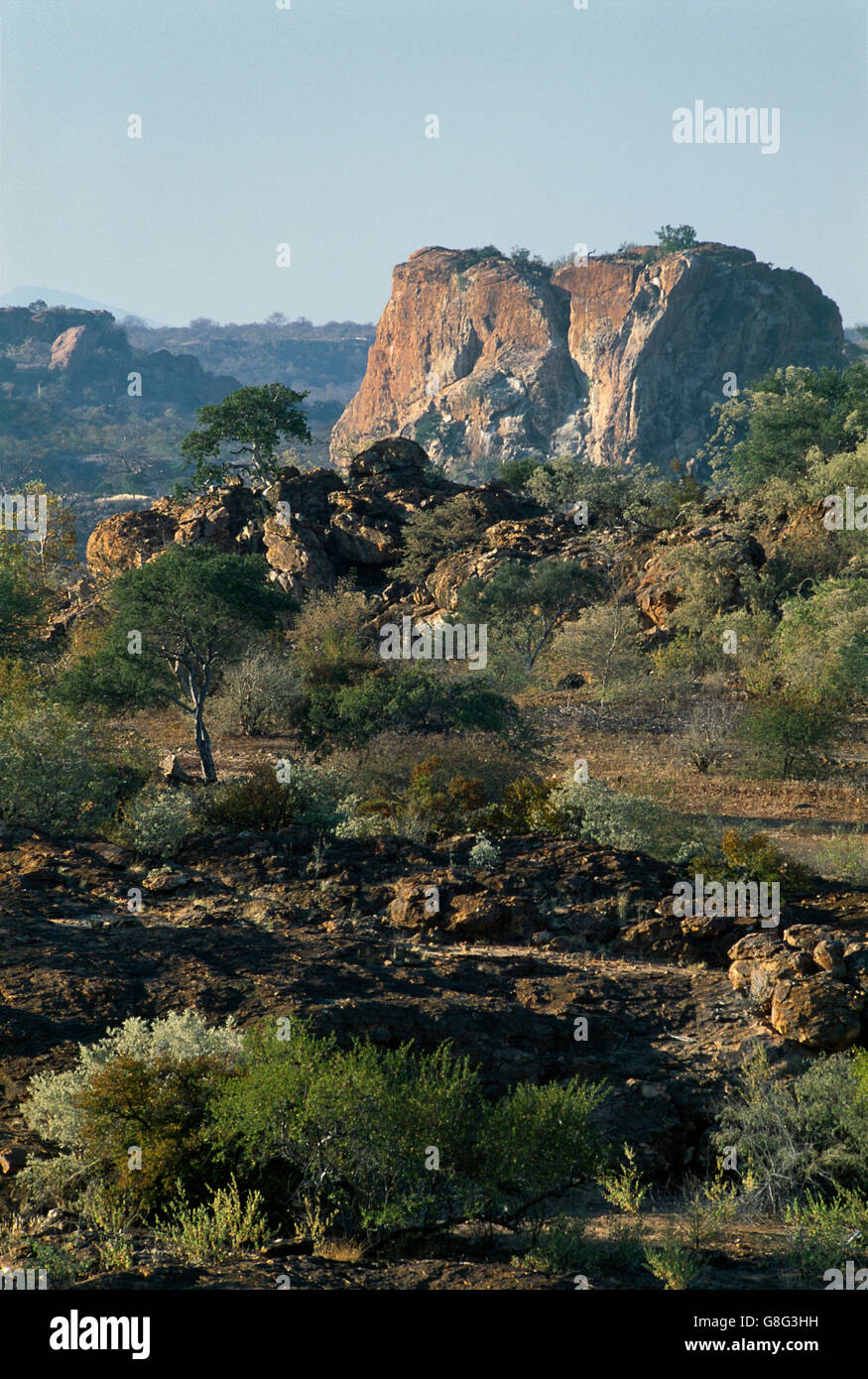 Bushveld, Kingdom of Mapungubwe, Limpopo, South Africa Stock Photo - Alamy