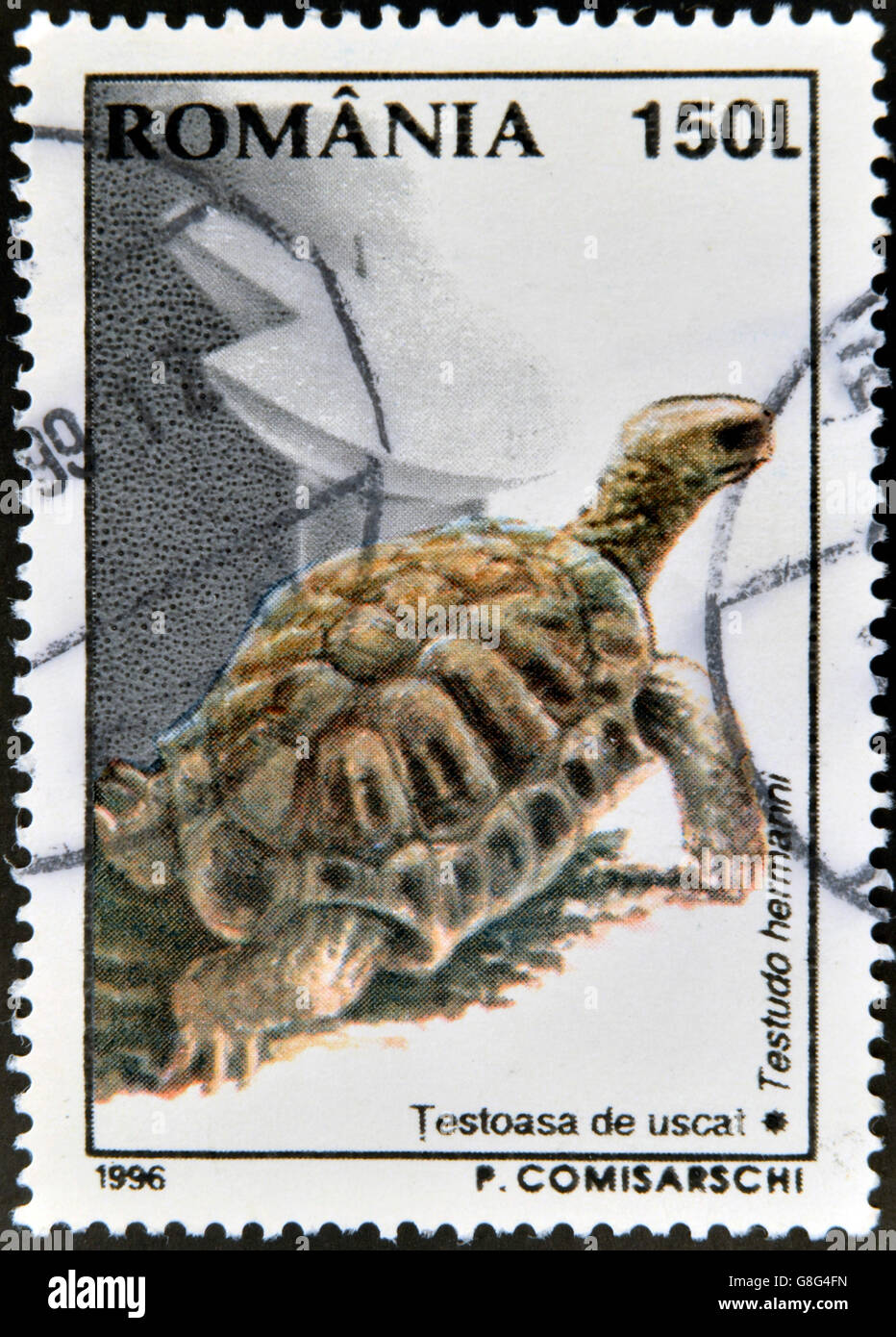 ROMANIA - CIRCA 1996: A stamp printed in Romania shows a tortoise ...