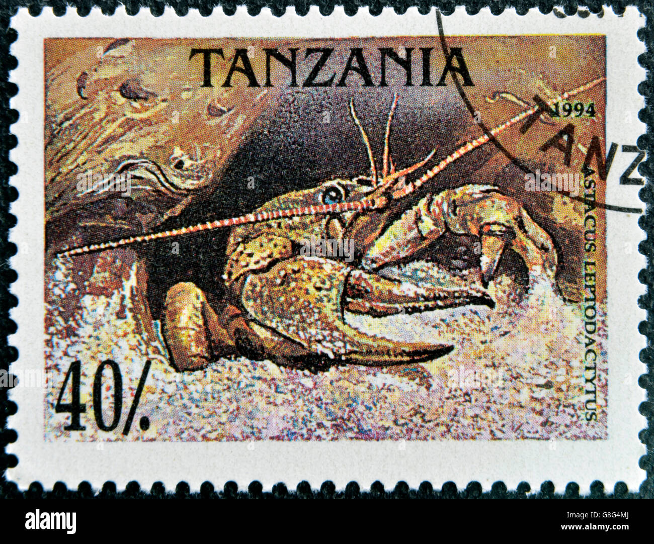 TANZANIA - CIRCA 1994: A stamp printed in Tanzania shows a prawn, circa ...