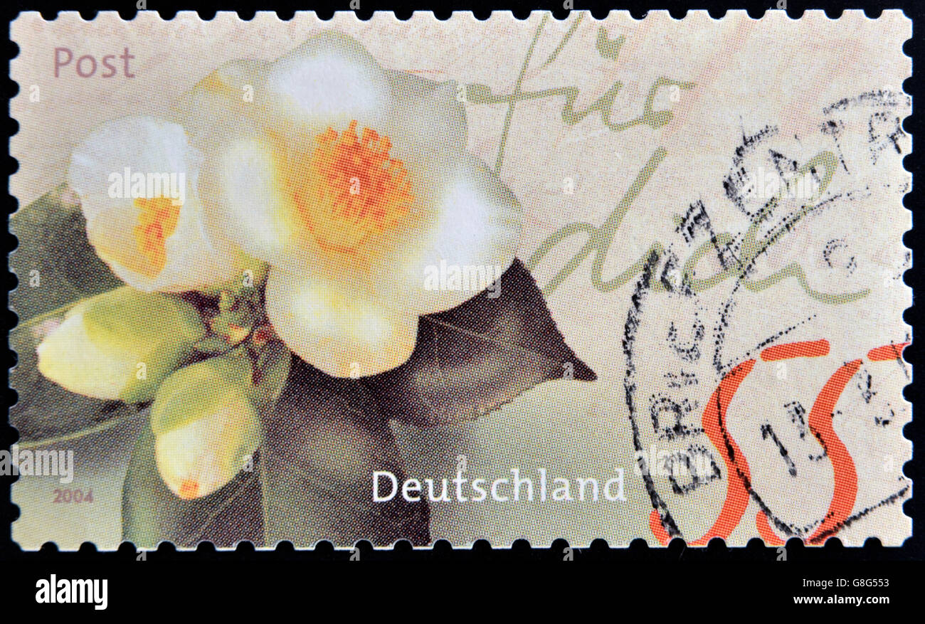 GERMANY - 2004: A stamp printed in Germany shows image of flowers, 2004 ...