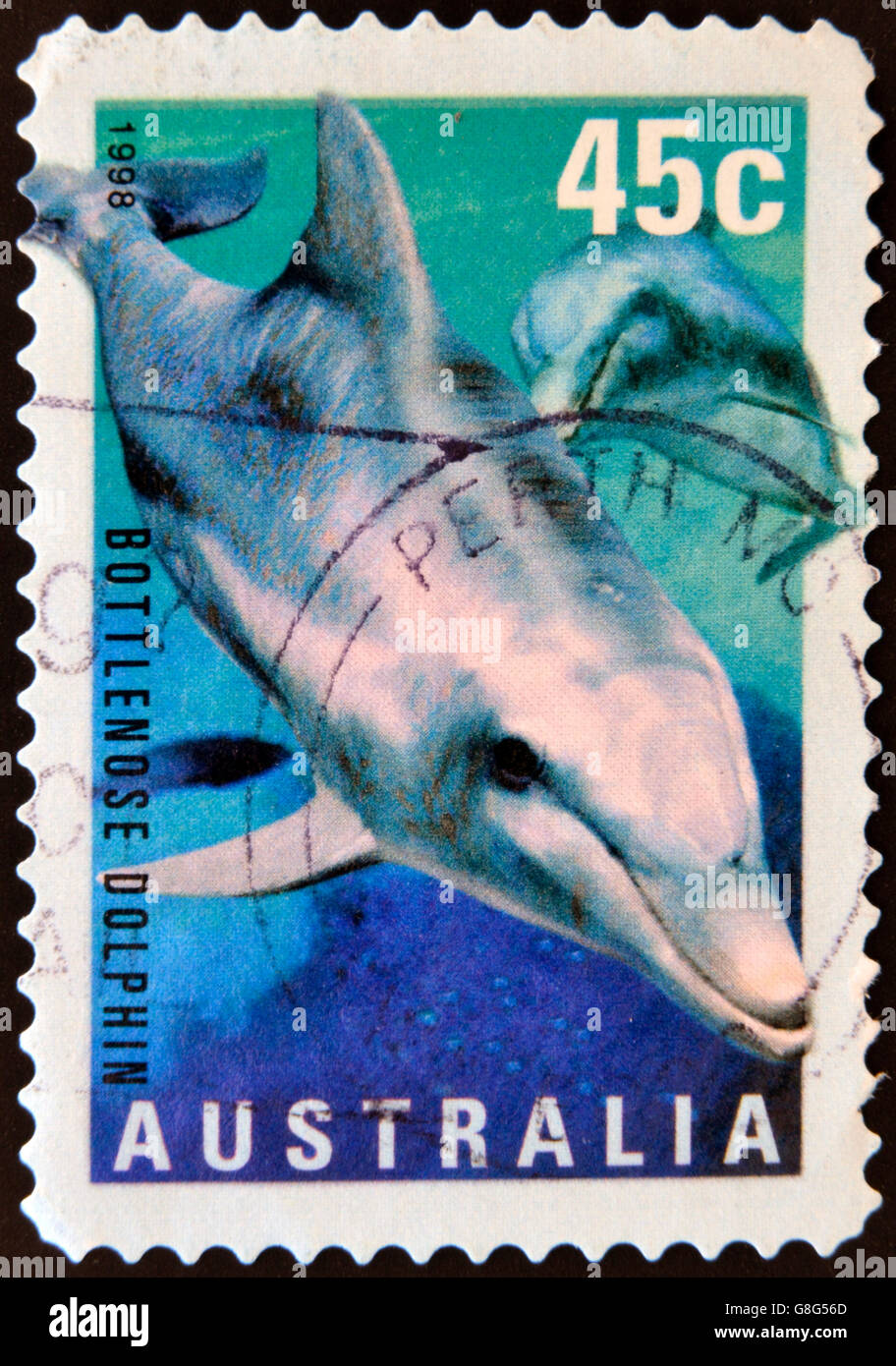 AUSTRALIA - CIRCA 1998: A stamp printed in Australia shows Bottlenose ...