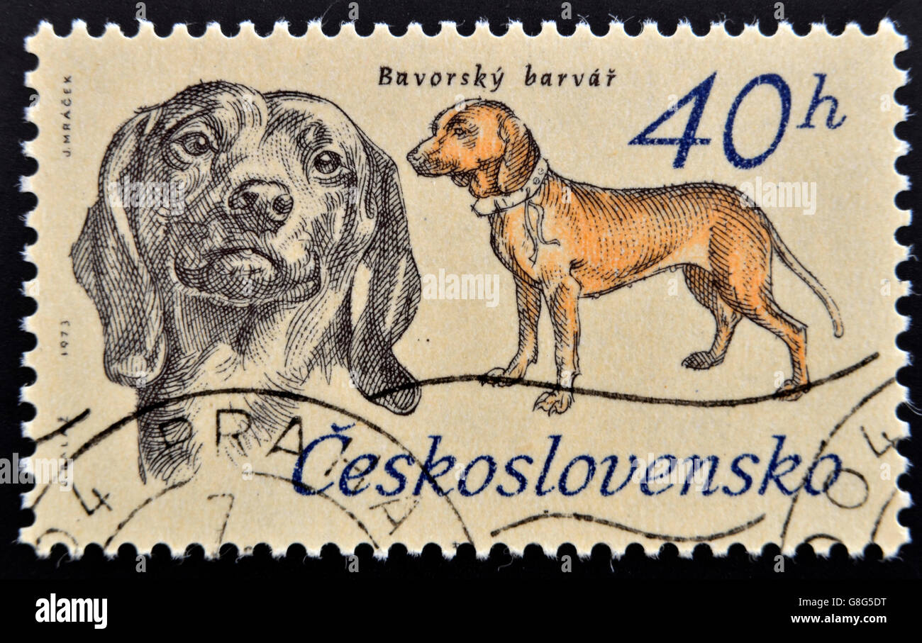 CZECHOSLOVAKIA - CIRCA 1973: A Stamp printed in Czchoslovakia shows ...