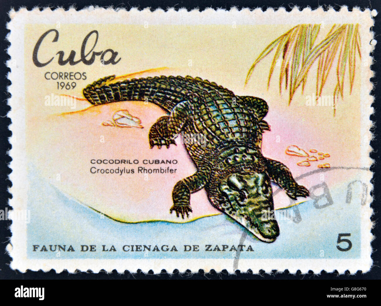 CUBA - CIRCA 1969: A stamp printed in cuba dedicated to fauna of the ...