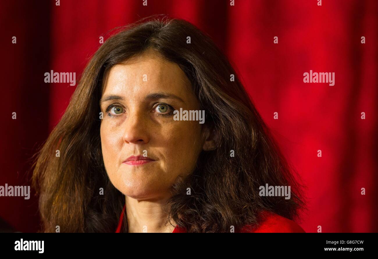 Northern Ireland Secretary Theresa Villiers at the British-Irish ...