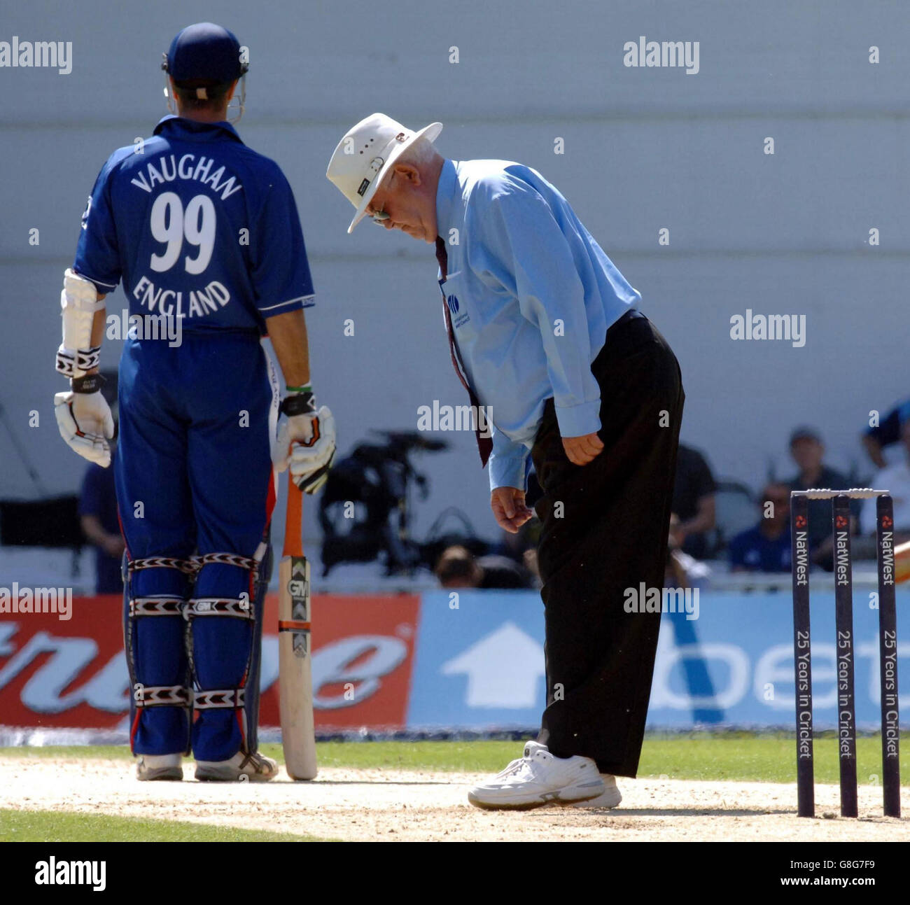 David shepherd cricket umpire hi-res stock photography and images - Alamy