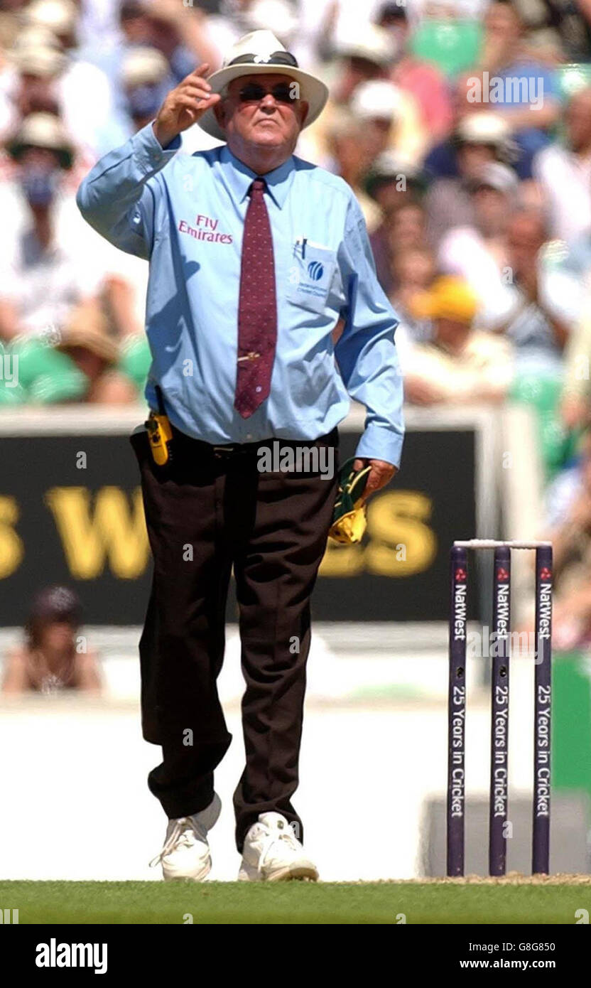 David shepherd cricket umpire hi-res stock photography and images - Alamy