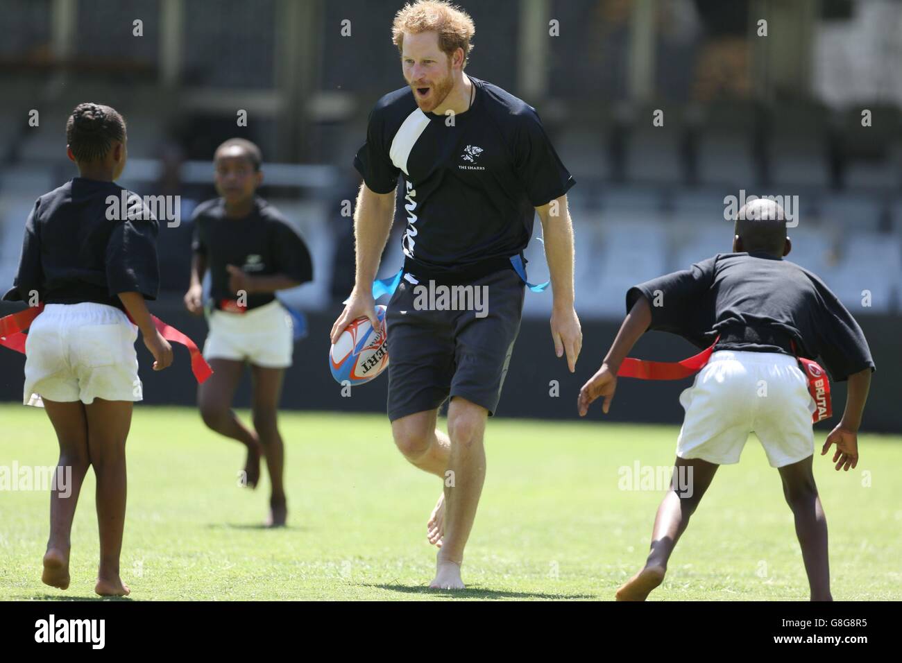 Kings park stadium sharks hi-res stock photography and images - Alamy