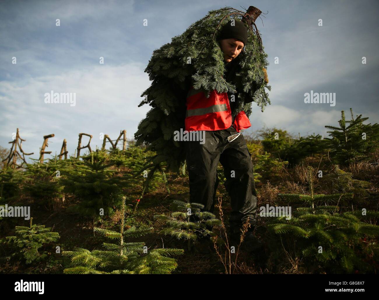 Blount hi-res stock photography and images - Alamy