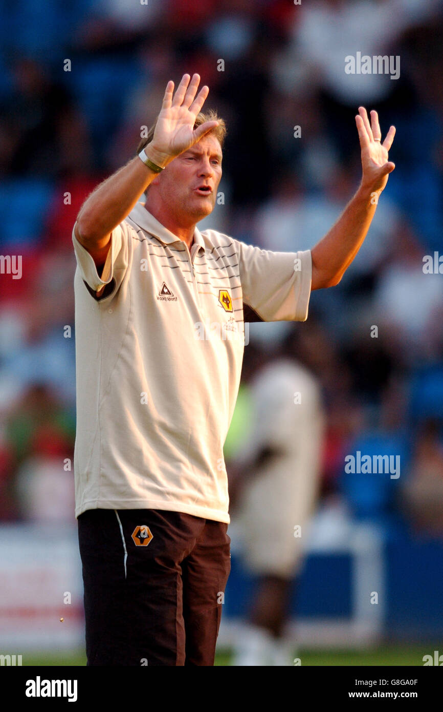 Soccer - Friendly - AFC Telford United v Wolverhampton Wanderers ...