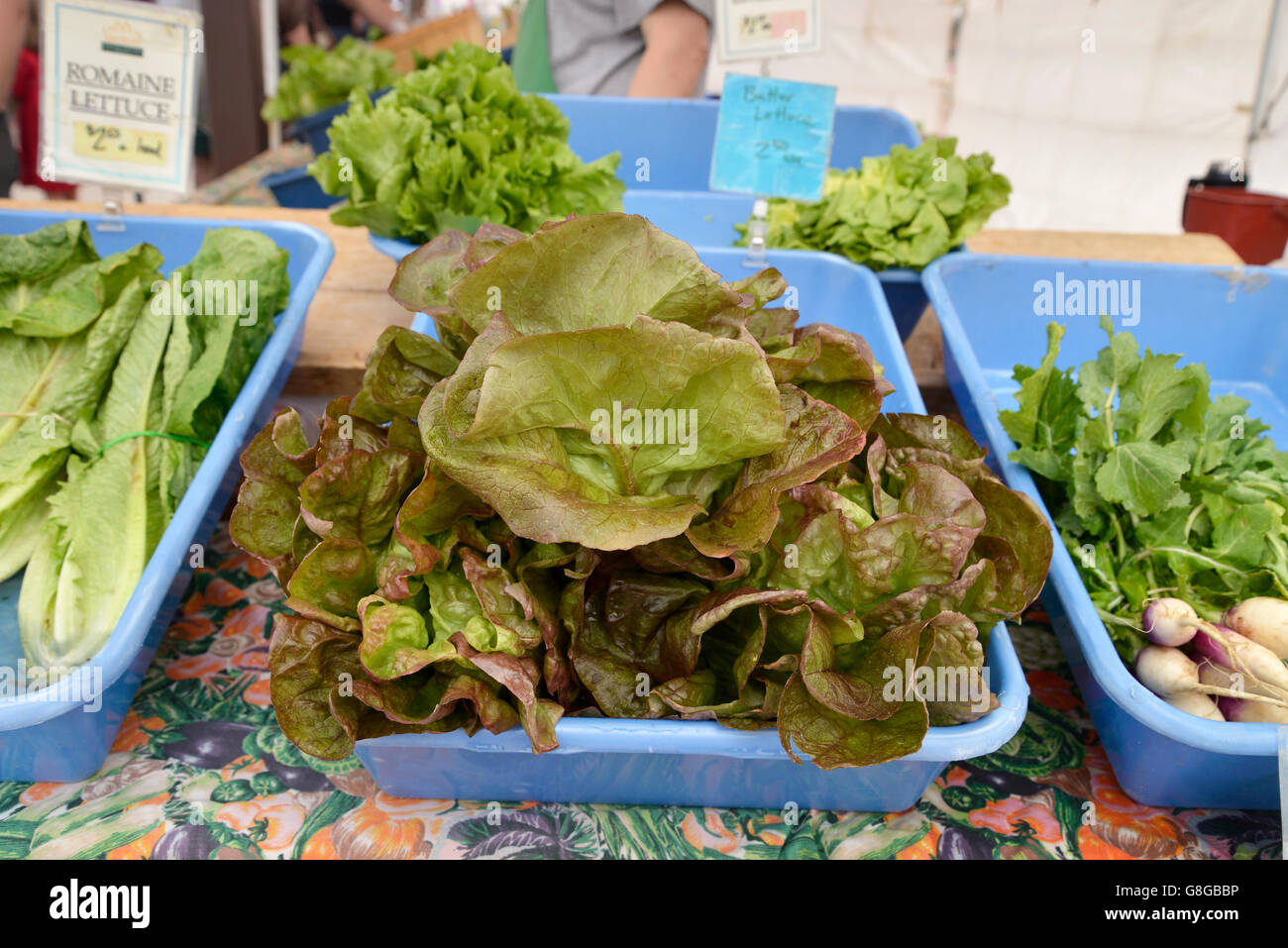 Lettuce green leaf leaves local food foods market markets farmers hi ...